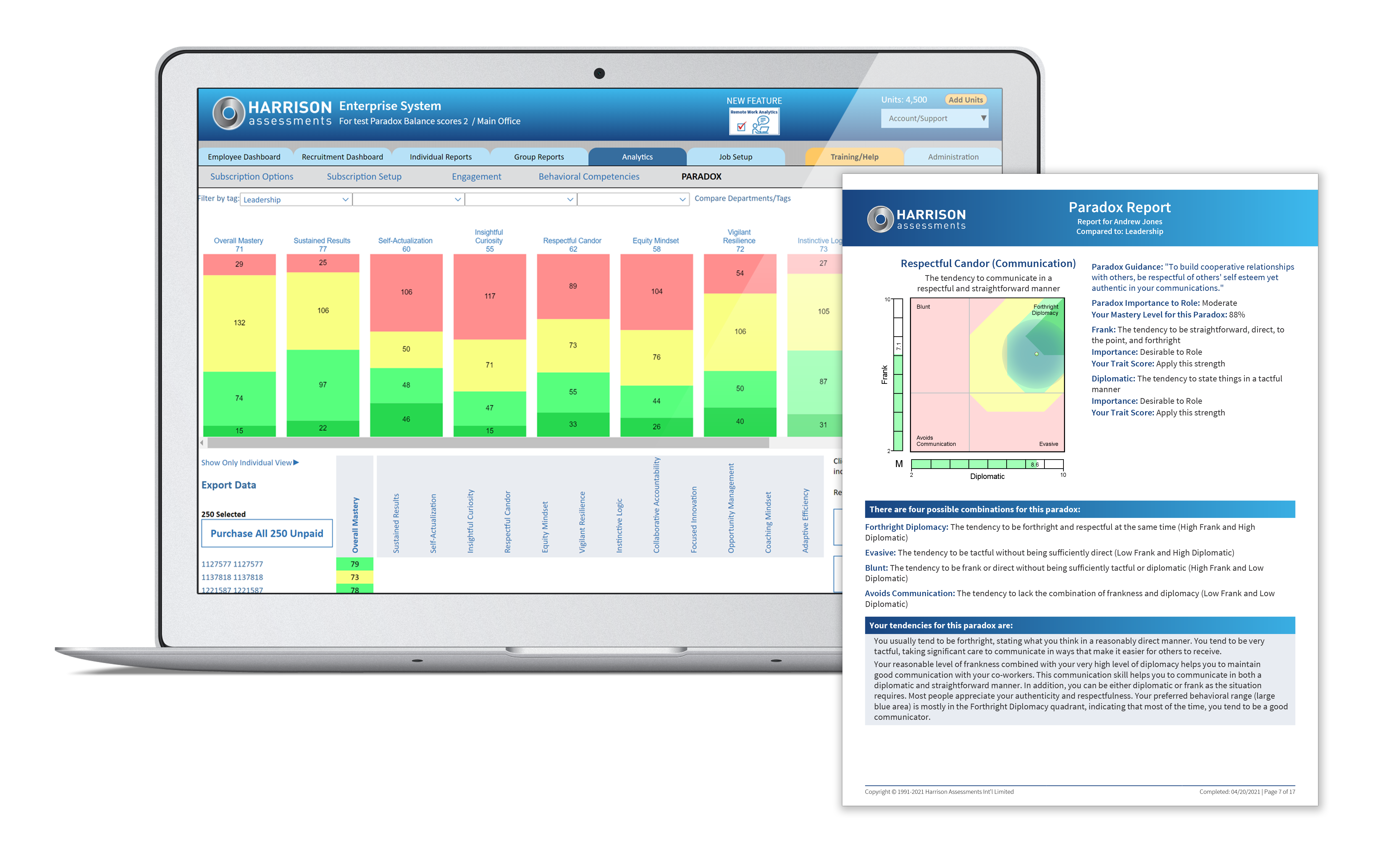 Paradox Theory and Team Dynamics | Harrison Assessments